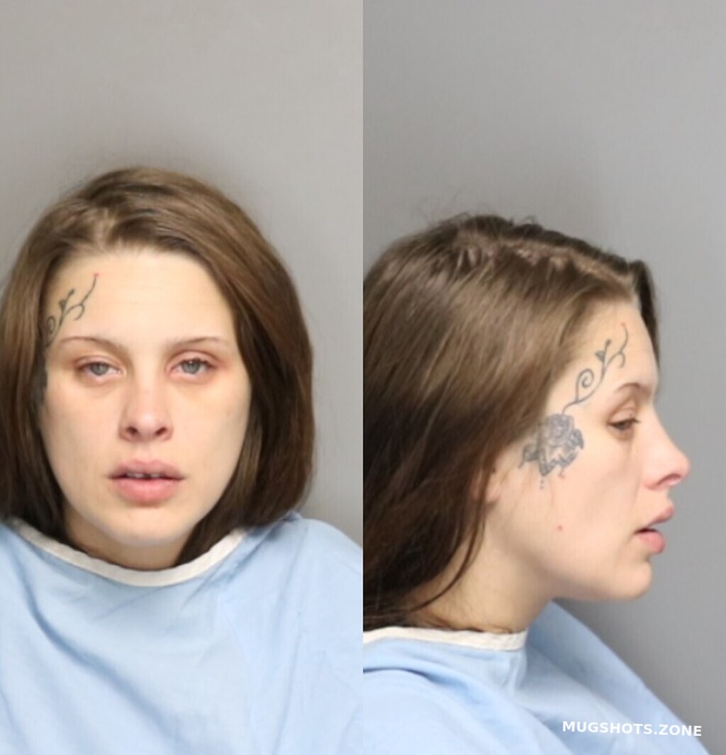 BARNBROOK JAMIE LEIGH 02/28/2026 - Champaign County Mugshots Zone