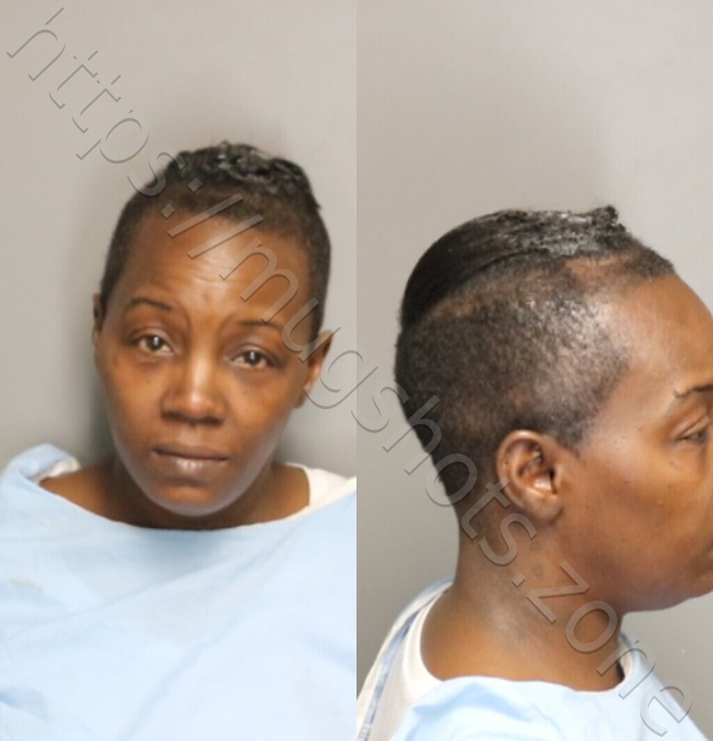 JACKSON VENITA MARIE 03/10/2026 - Champaign County Mugshots Zone