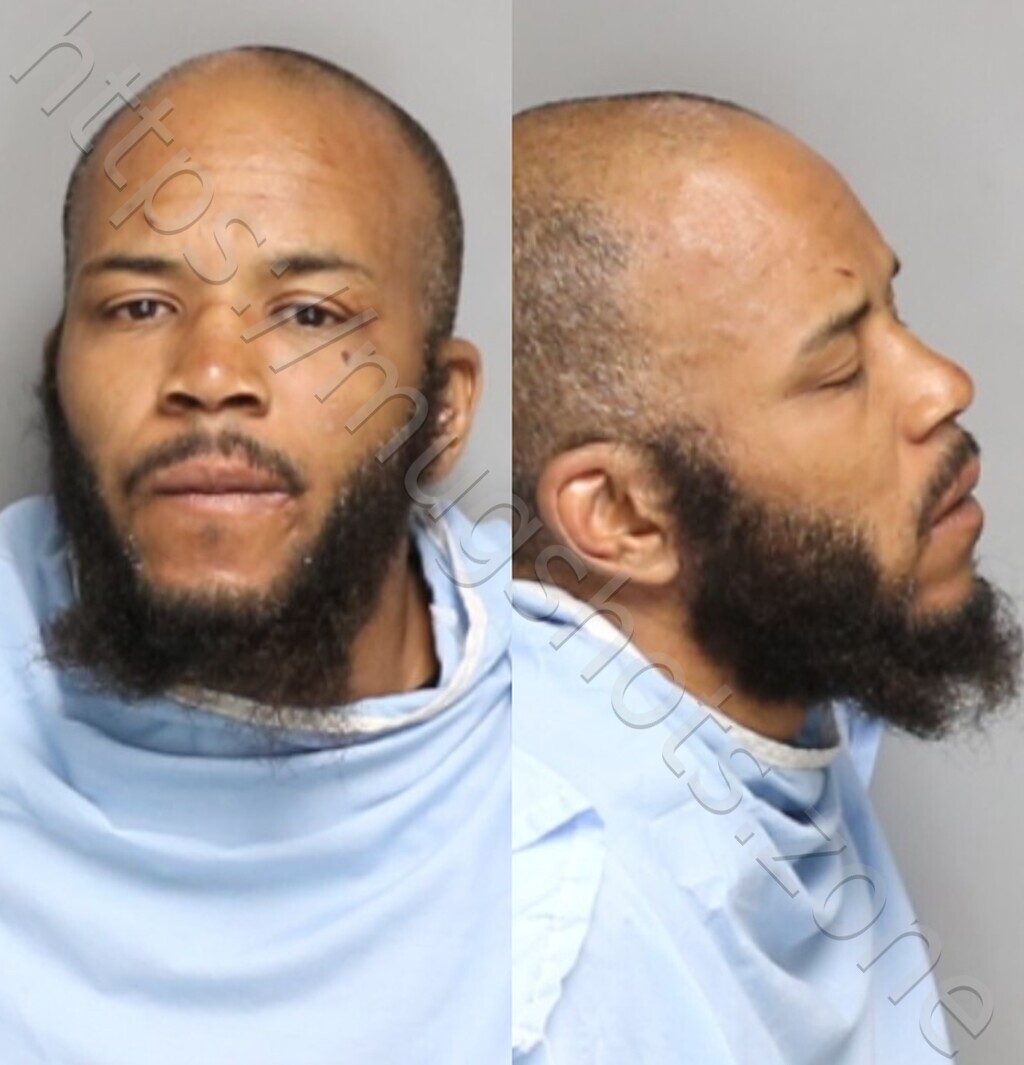 THOMPSON IDRIS ANTWAN 03/16/2026 - Champaign County Mugshots Zone