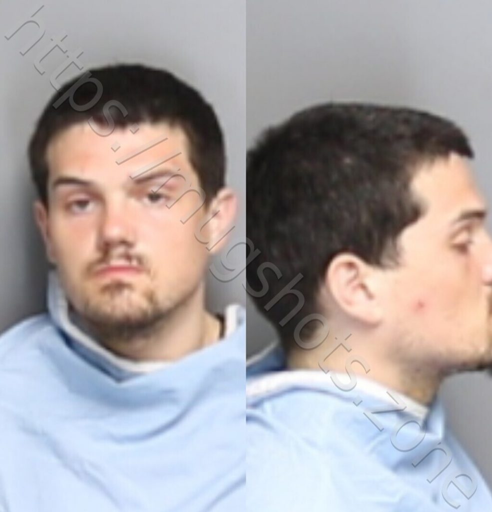 MATHEWS JONATHON RAY 04/12/2026 - Champaign County Mugshots Zone