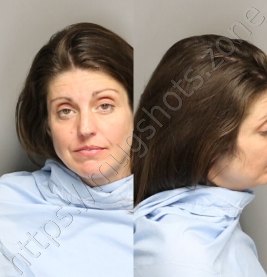 WHITING KELLY HIRONOMOUS 04/21/2026 - Champaign County Mugshots Zone