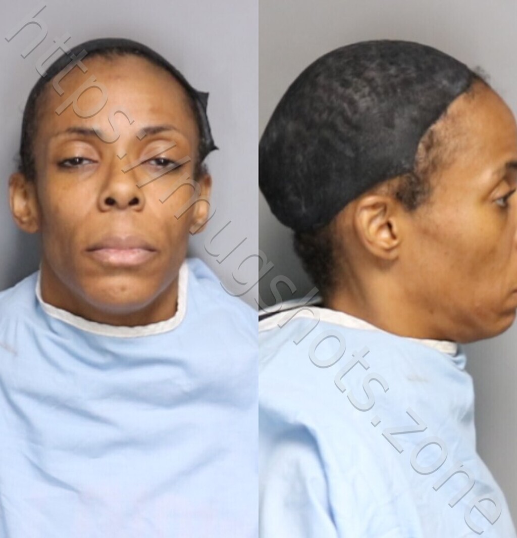 SMITH SHAMIRA RENEE 04/27/2026 - Champaign County Mugshots Zone