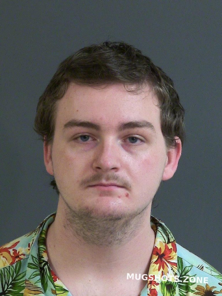 ASHLOCK DYLAN THOMAS JAMES 01/15/2021 - Charleston County Mugshots Zone
