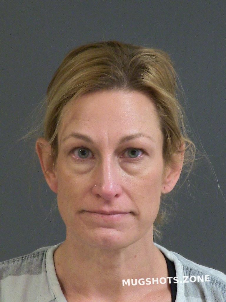 RICCIO ASHLEY LAYTON 04/01/2021 - Charleston County Mugshots Zone