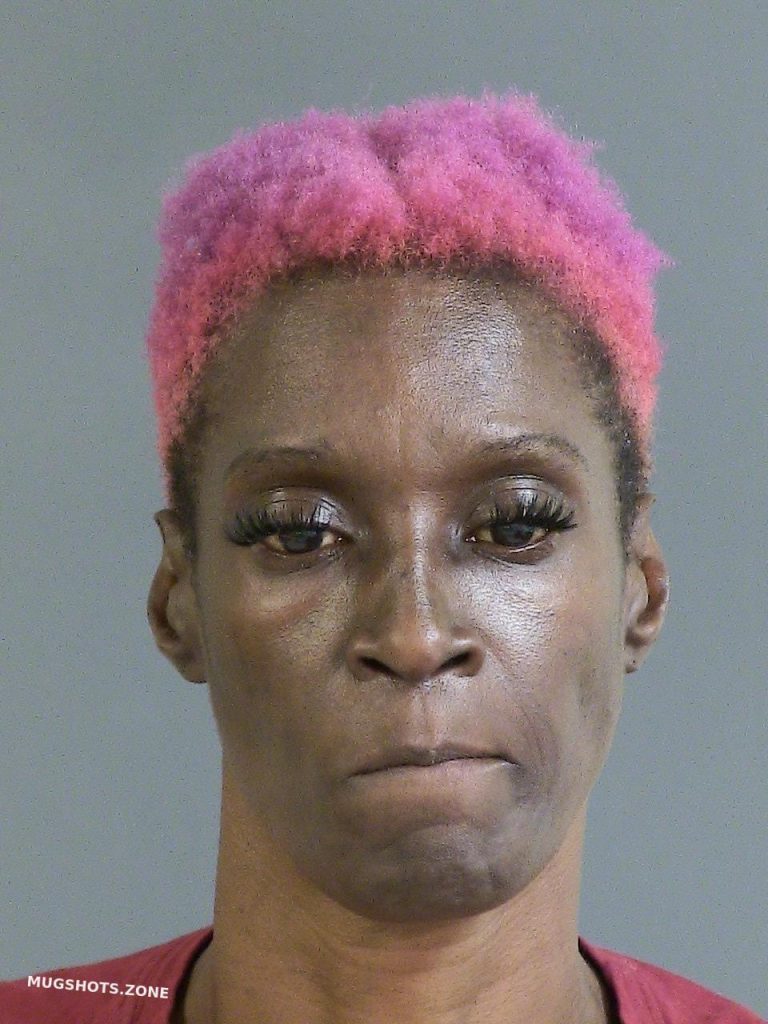 PARRIS SONYA RENEE 06/19/2021 - Charleston County Mugshots Zone