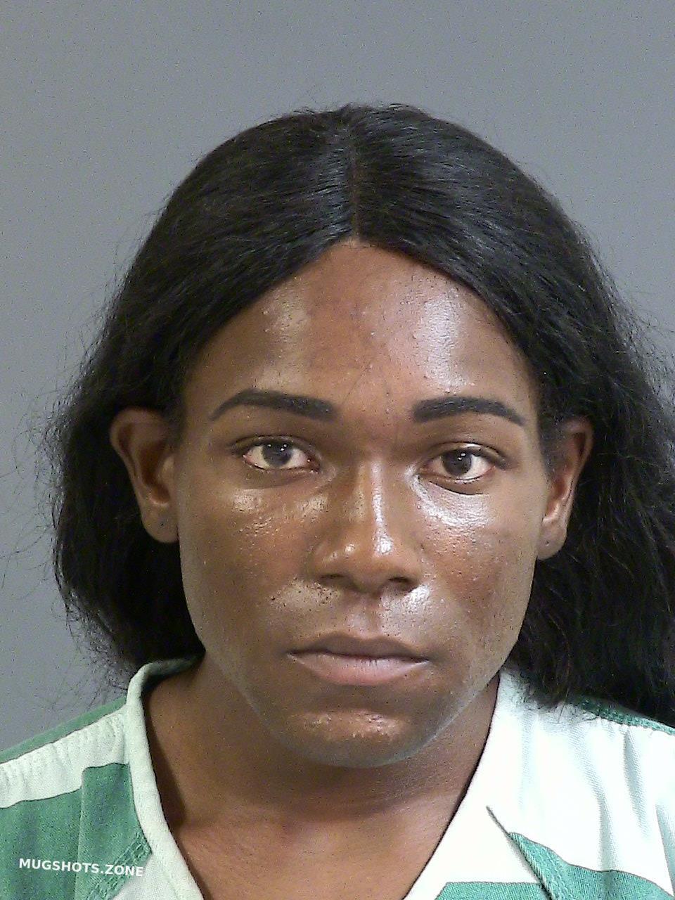 BROWN LAYLA ROSE 07/01/2021 - Charleston County Mugshots Zone