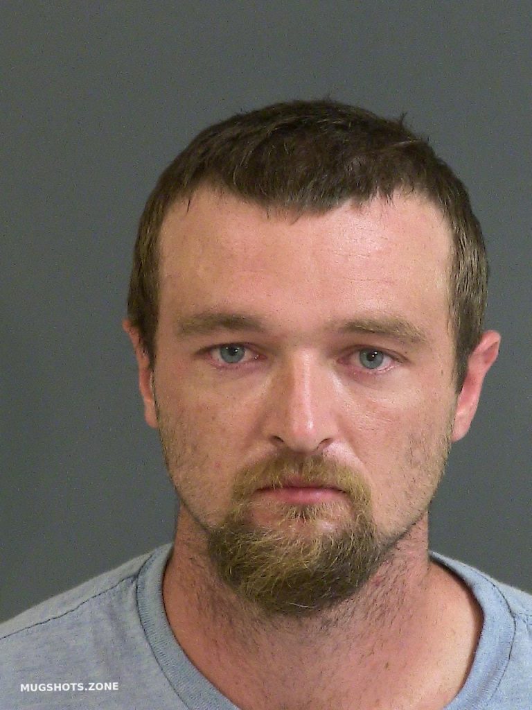 DYSON TRAVIS ANDREW 09/04/2021 - Charleston County Mugshots Zone