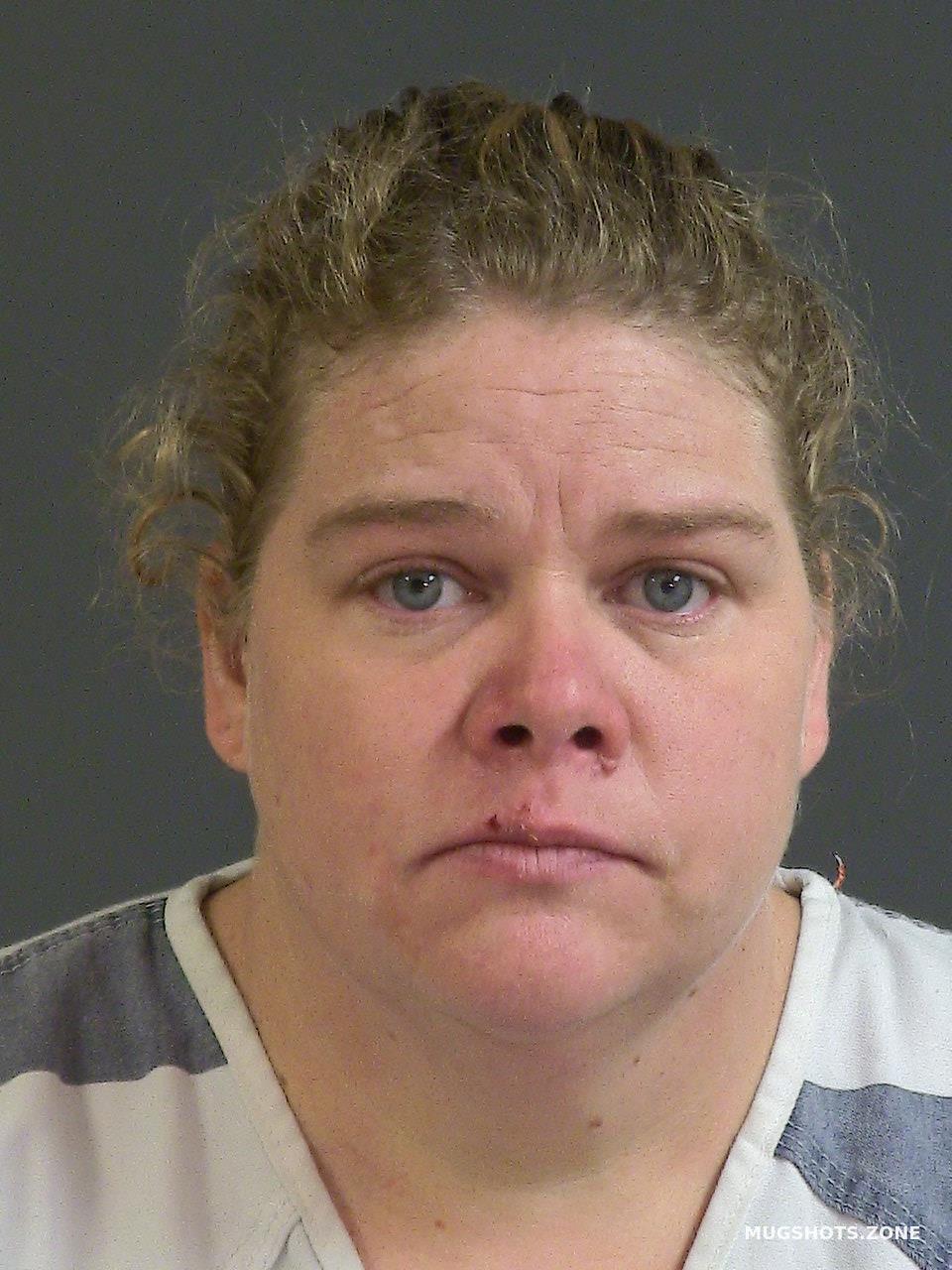 LONG DONNA MARIE DEARING 11/08/2021 - Charleston County Mugshots Zone