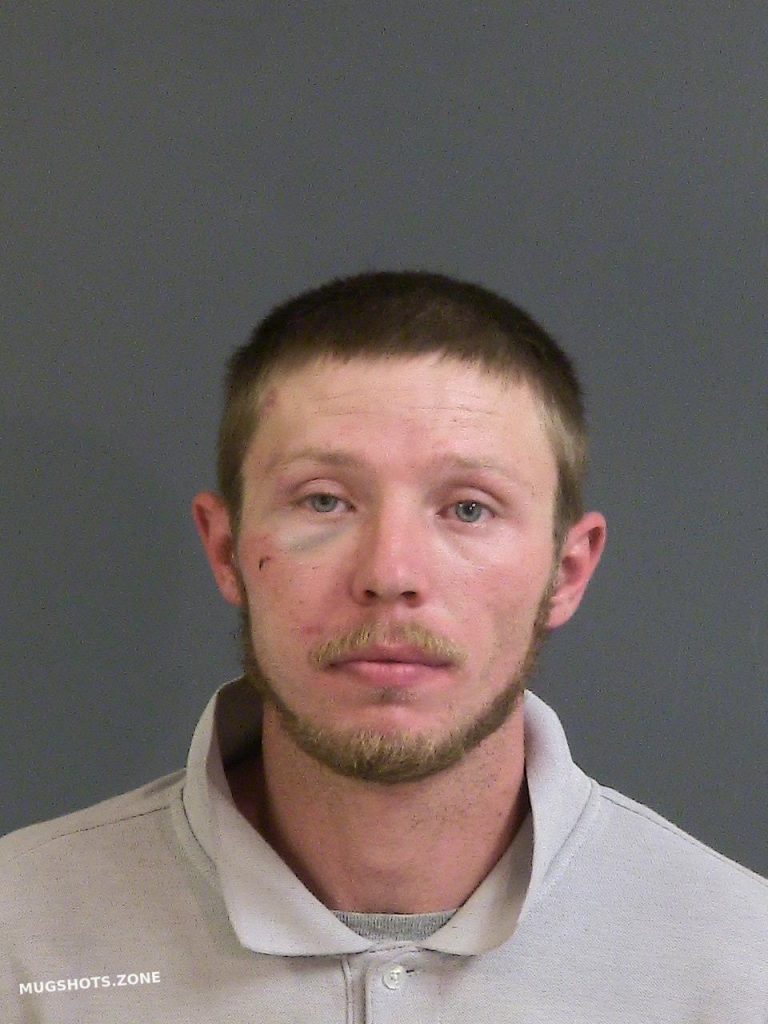 DANIELS BRIAN TAYLOR 11/10/2021 - Charleston County Mugshots Zone