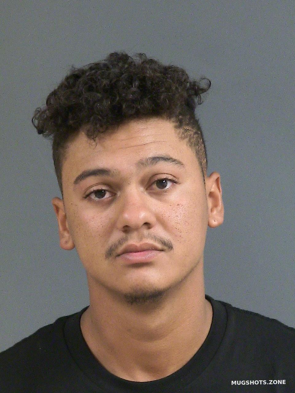 MILES TRISTAN ALEXANDER 05/22/2022 - Charleston County Mugshots Zone