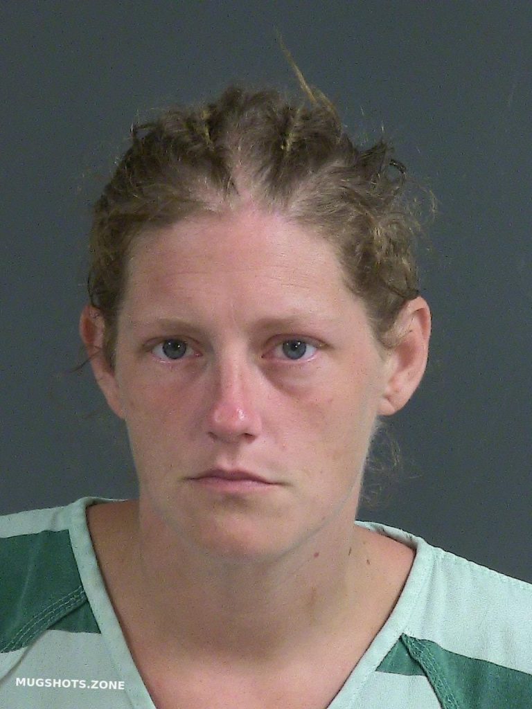 COOK BRITTANY NICOLE 05/28/2022 - Charleston County Mugshots Zone