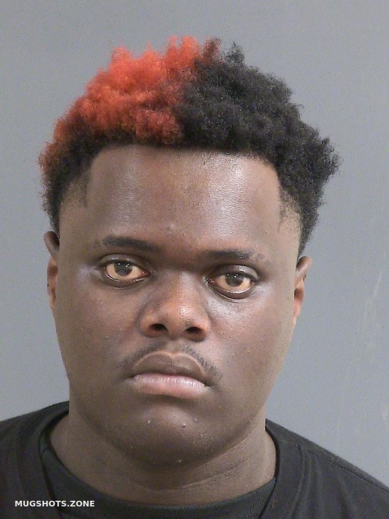 BROWN DESHAUN GERARD 10/16/2022 - Charleston County Mugshots Zone