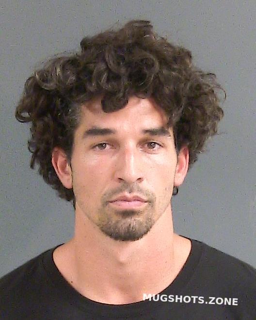 CAMMARATA DOMINIC STEVEN 11/04/2022 - Charleston County Mugshots Zone
