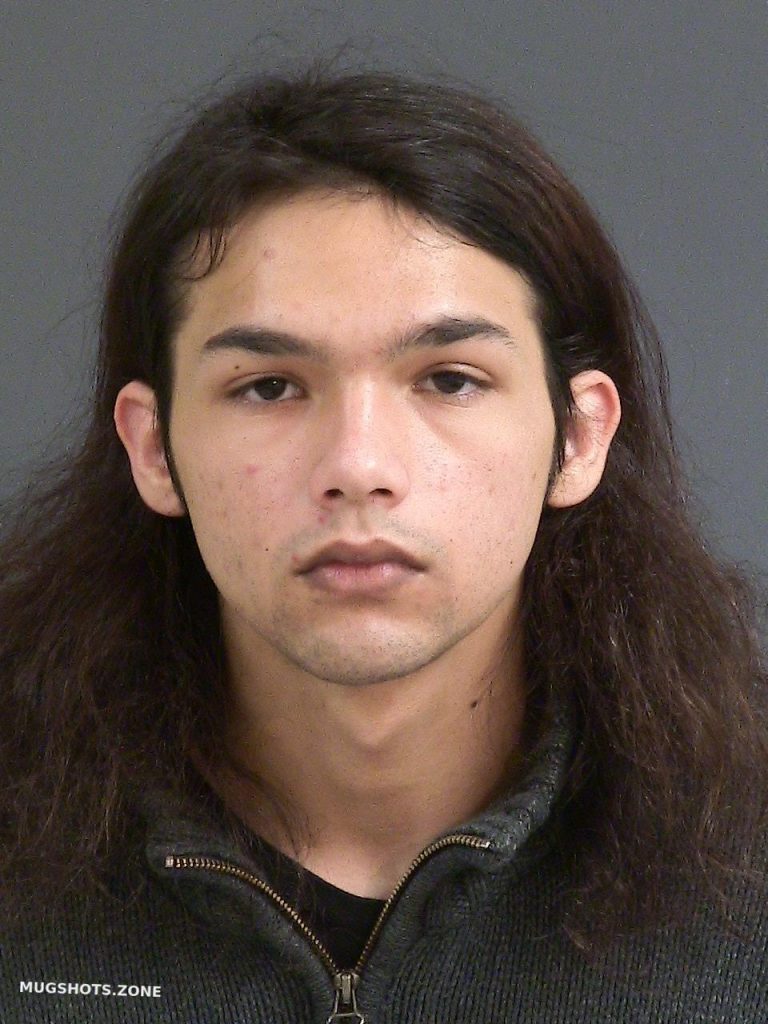 BONILLA NICHOLAS CARL LEE 12/11/2022 - Charleston County Mugshots Zone