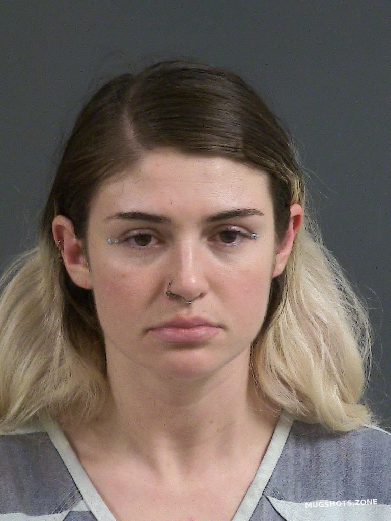 DYKES LANA TAYLOR 01/30/2023 - Charleston County Mugshots Zone