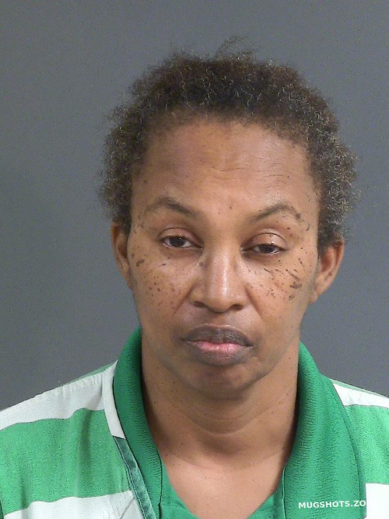 GADSON STEPHANIE 02/10/2023 - Charleston County Mugshots Zone