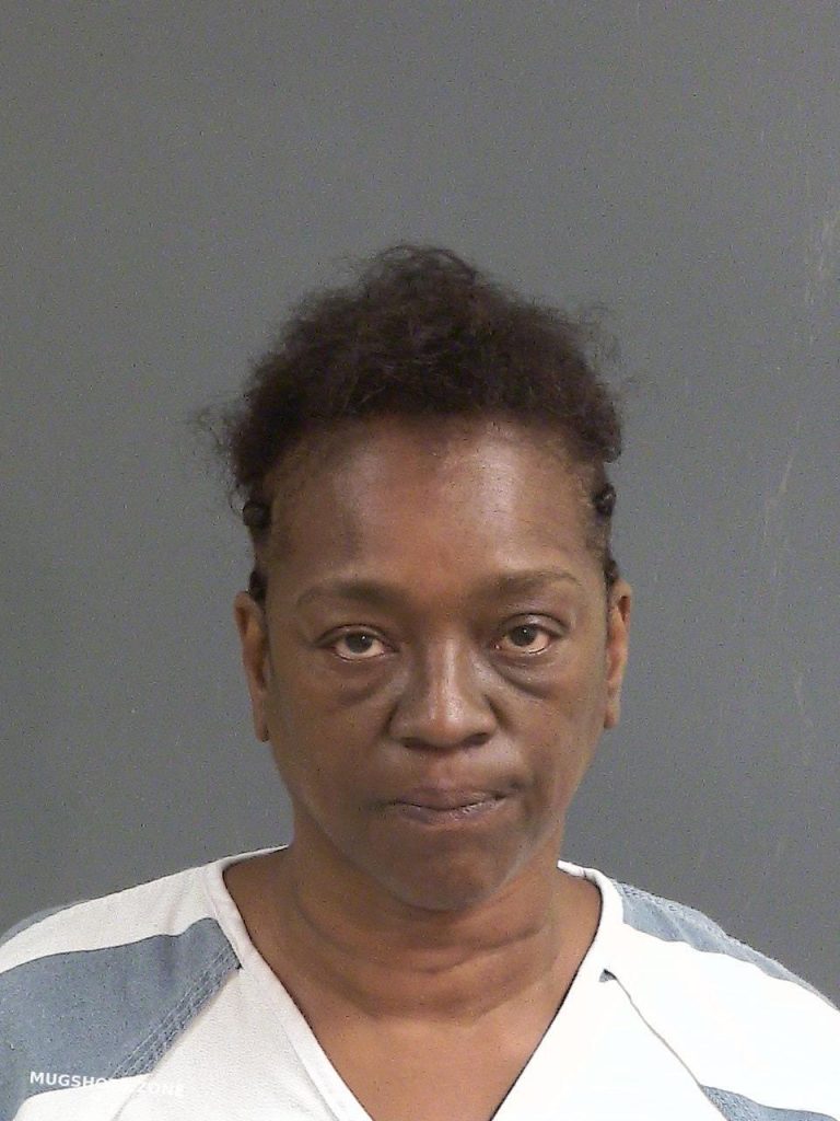 WILLIAMS PATRICIA ANN 04/22/2023 - Charleston County Mugshots Zone
