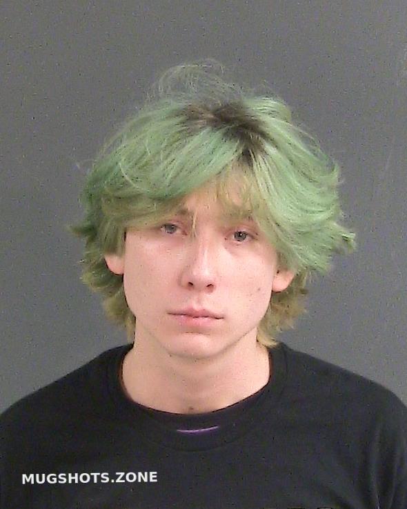 ROSS ROBERT ALFRED 06/08/2023 - Charleston County Mugshots Zone