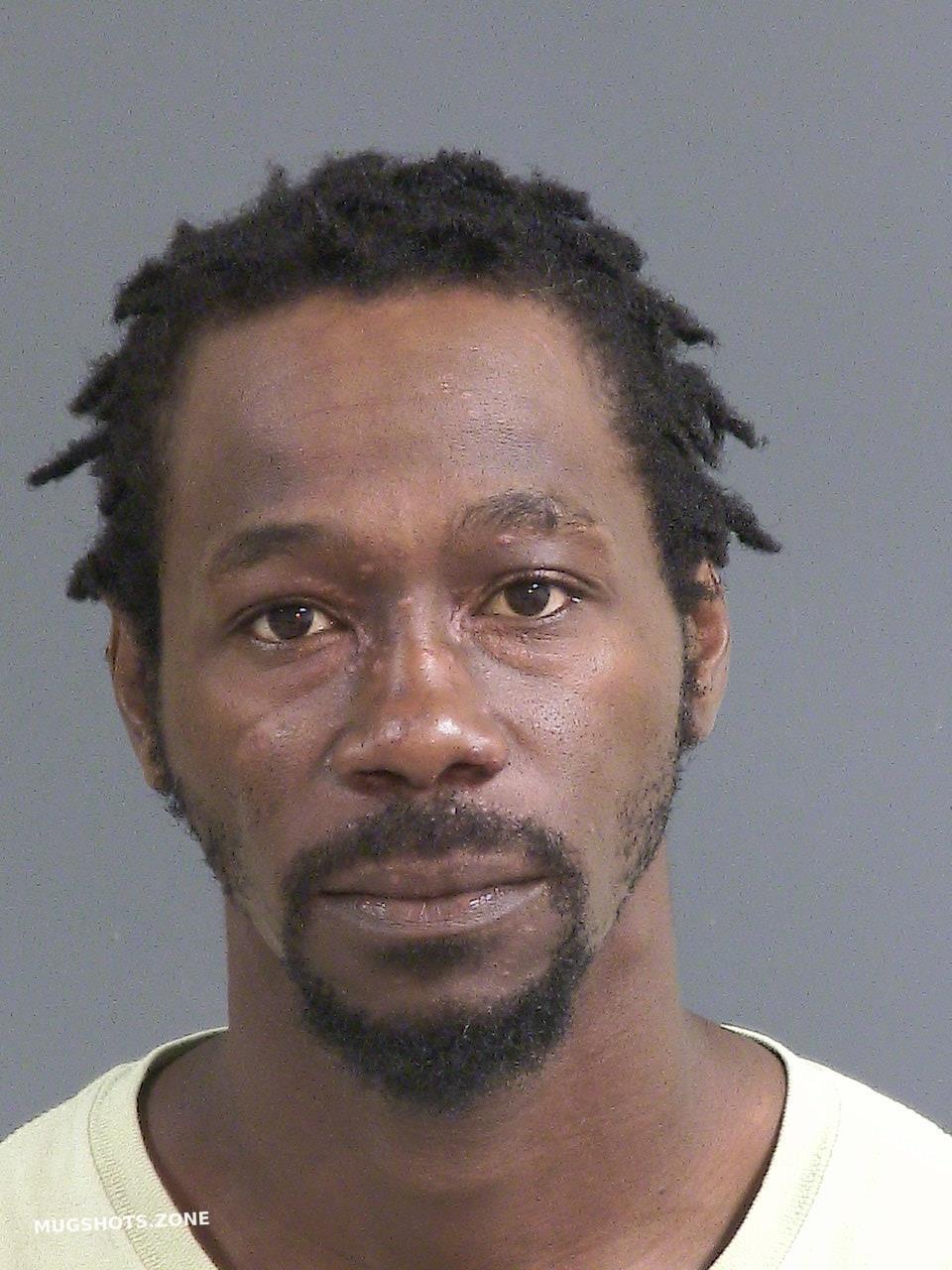 GAYLE LUKE 07/21/2023 - Charleston County Mugshots Zone