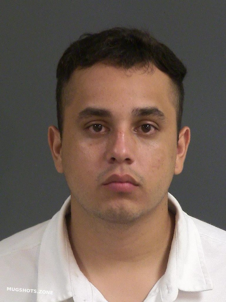 DELGADO GUERRA CHRISTIAN 07/29/2023 - Charleston County Mugshots Zone