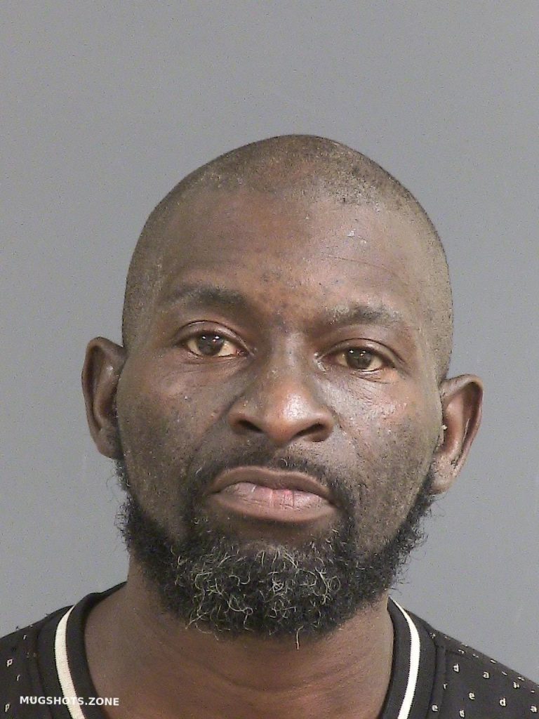 RAY REGINALD LEVINE 10/05/2023 - Charleston County Mugshots Zone