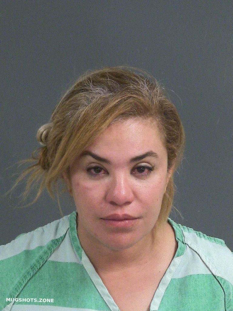 RODGERS MARCIA BORJAS 04/21/2024 - Charleston County Mugshots Zone
