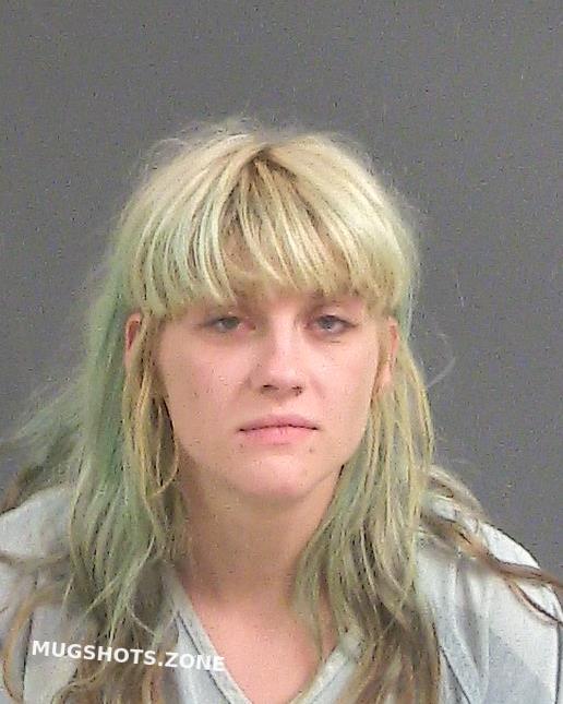 STEADING ELIZABETH NICOLE 06/02/2024 - Charleston County Mugshots Zone
