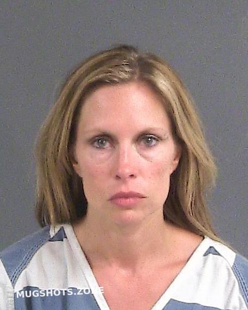 HIGGINS SONJA MARIE 06/15/2024 - Charleston County Mugshots Zone