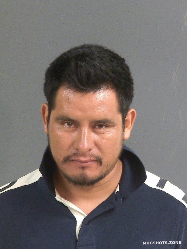RAMIREZ LOPEZ APOLONIO ANIBEL 07/19/2024 - Charleston County Mugshots Zone