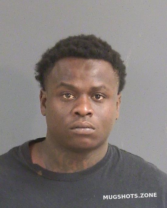 SINKLER NICHOLAS SHANE 08/09/2024 - Charleston County Mugshots Zone