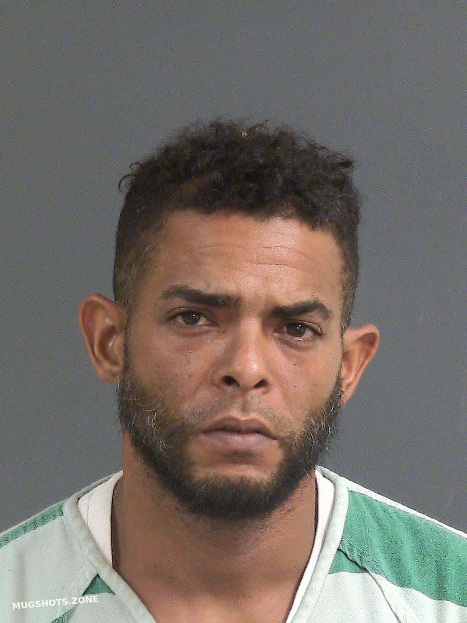 PEREZ LEBRON JONATHAN 08/15/2024 - Charleston County Mugshots Zone
