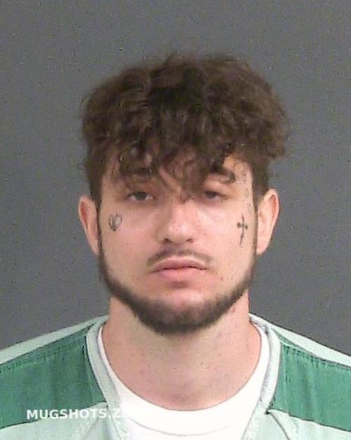 BEEKMAN CHADRICK ALLEN 08/15/2024 - Charleston County Mugshots Zone