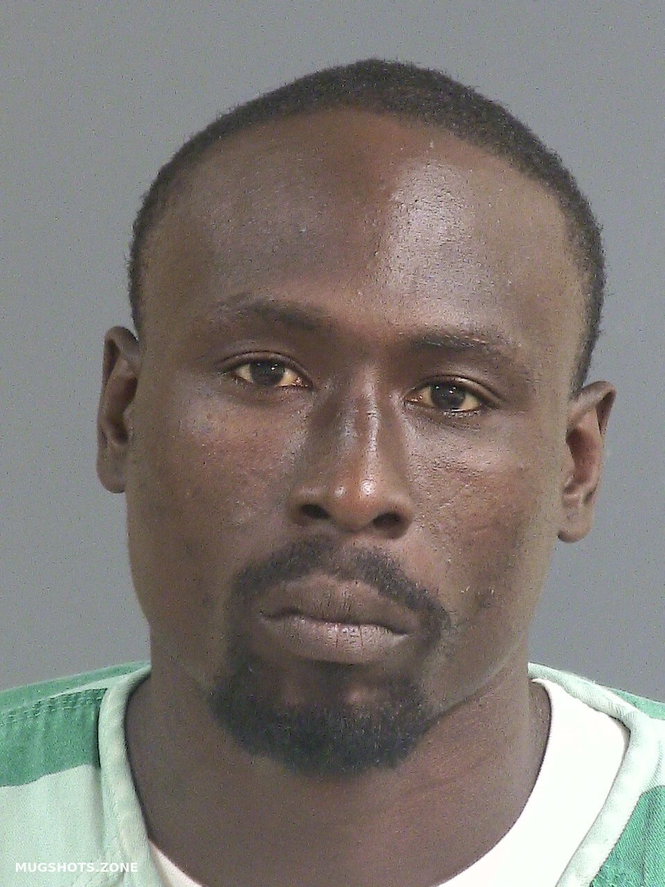 MITCHELL BRYANT TERRELL 10/15/2024 - Charleston County Mugshots Zone