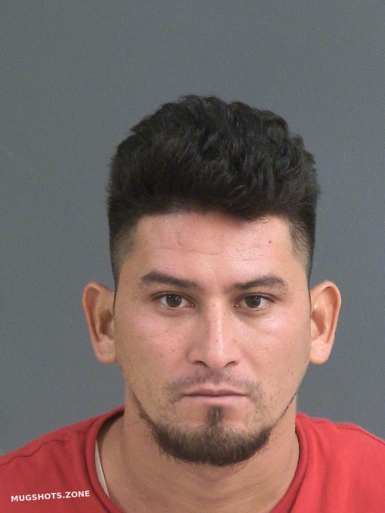 LOPEZ-CRUZ ALEX FERNANDO 10/18/2024 - Charleston County Mugshots Zone