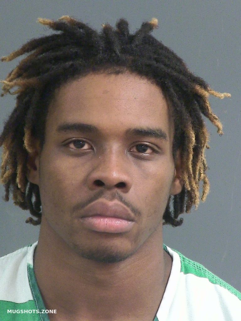 WILLIAMS MARIO LASHAWN 11/01/2024 - Charleston County Mugshots Zone