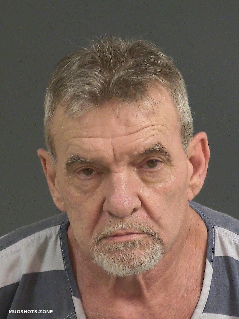 BILLS REX EDWARD 11/06/2024 - Charleston County Mugshots Zone