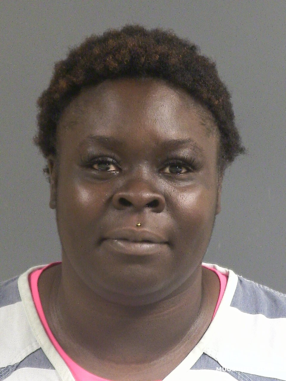 BENJAMIN DIONNE SHANTEL 11/08/2024 - Charleston County Mugshots Zone