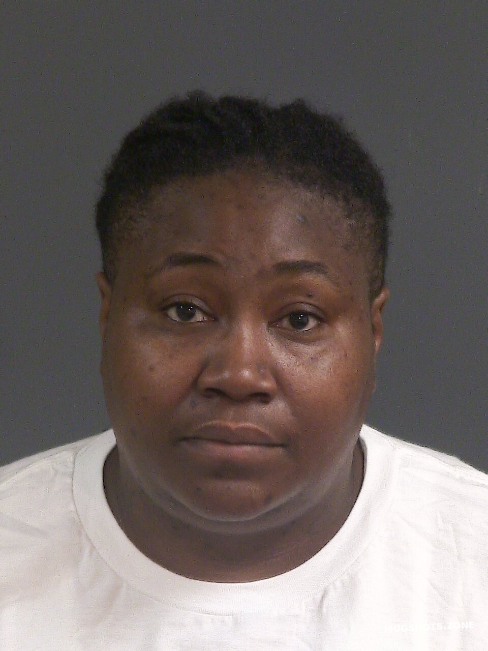 DAVIS BRITTNEY SHAMARA 11/09/2024 - Charleston County Mugshots Zone