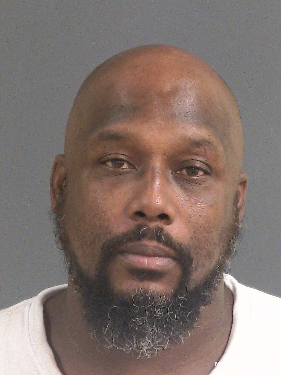 SINGLETON ANTHONY BILLY 11/11/2024 - Charleston County Mugshots Zone