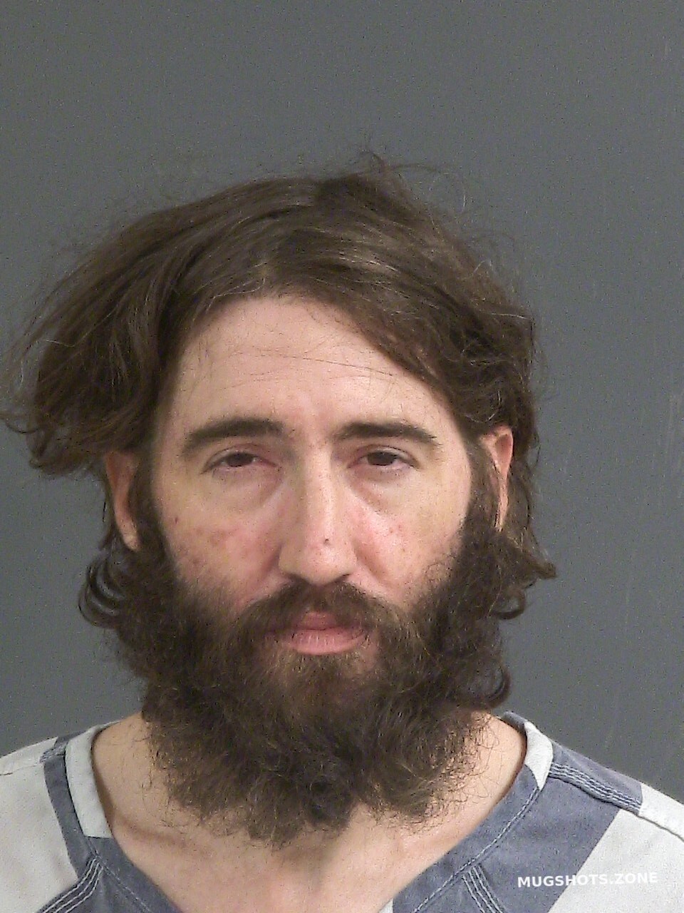 LEE PATRICK DOYLE 11/11/2024 - Charleston County Mugshots Zone