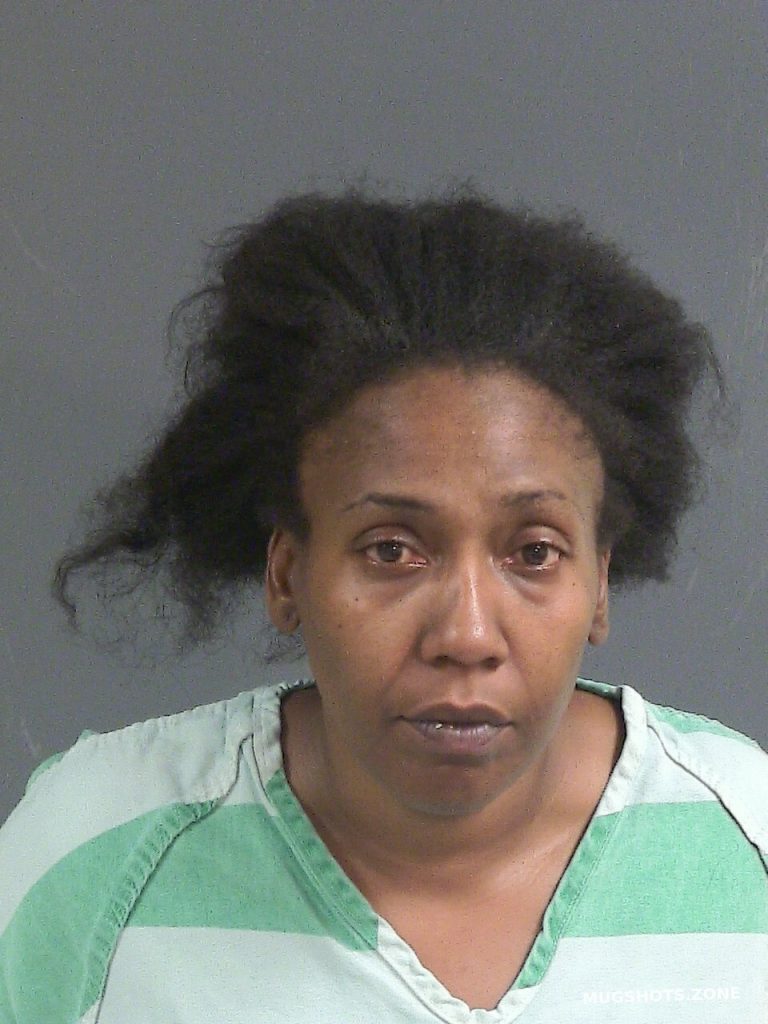 LAFAYETTE NICOLE 11/14/2024 - Charleston County Mugshots Zone