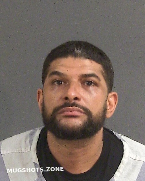 CLARK KYLE DAVID 11/17/2024 - Charleston County Mugshots Zone