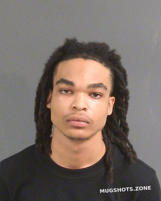 SMALLS MATTHEW OMEGA 11/17/2024 - Charleston County Mugshots Zone