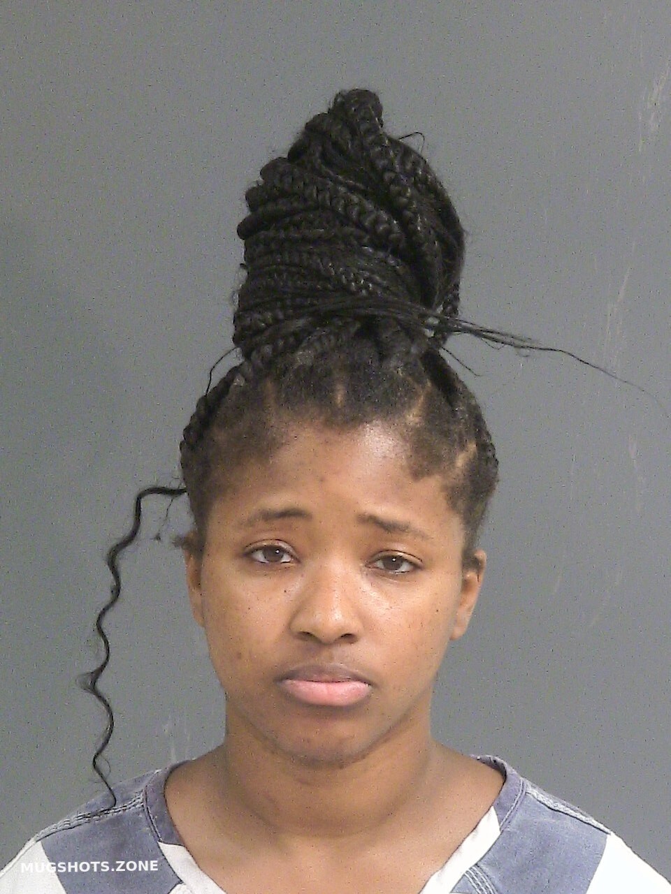 YOUNG DESTINY LASHAY 11/20/2024 - Charleston County Mugshots Zone