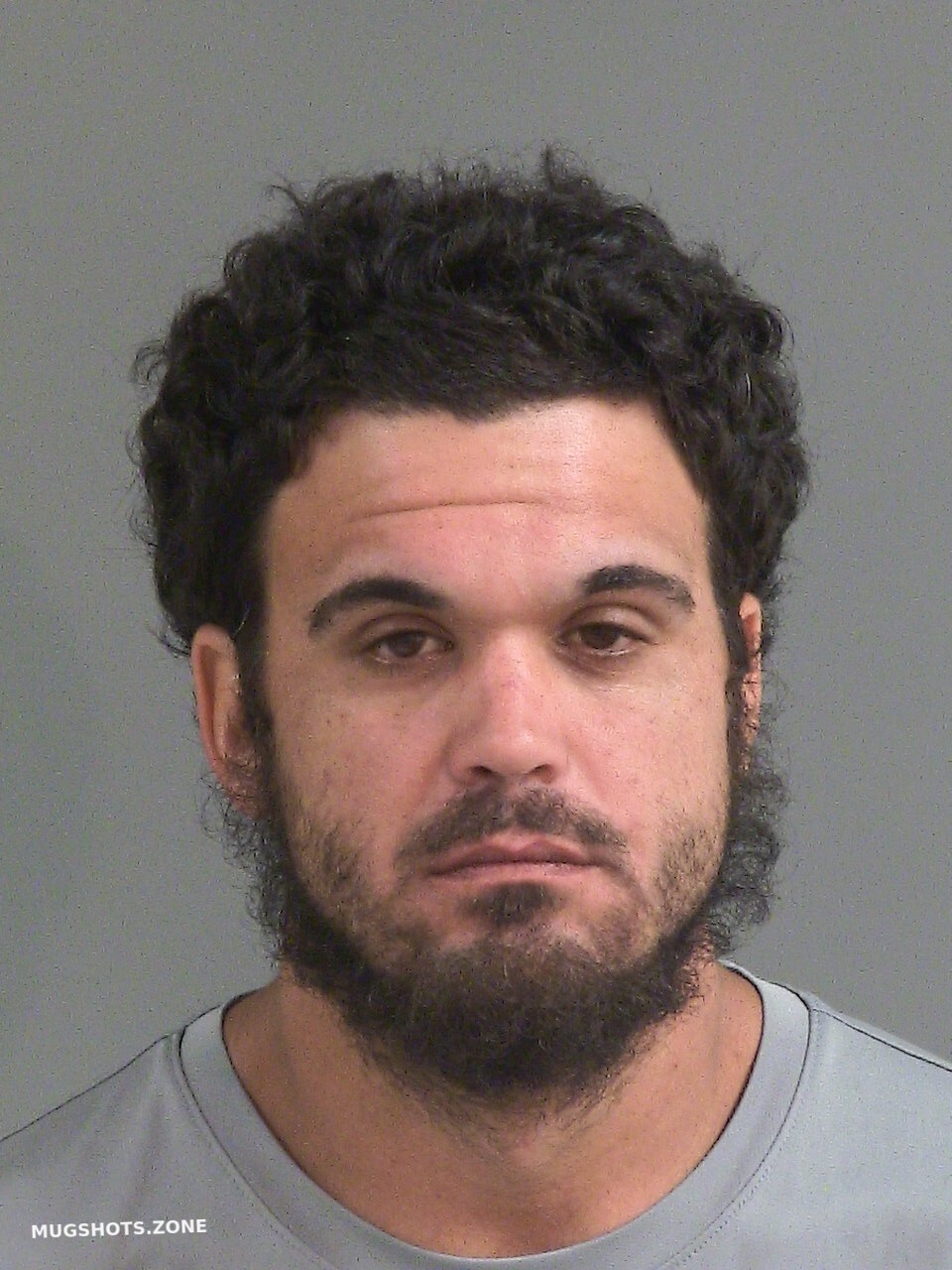 LONG KENNETH RAY 11/25/2024 - Charleston County Mugshots Zone