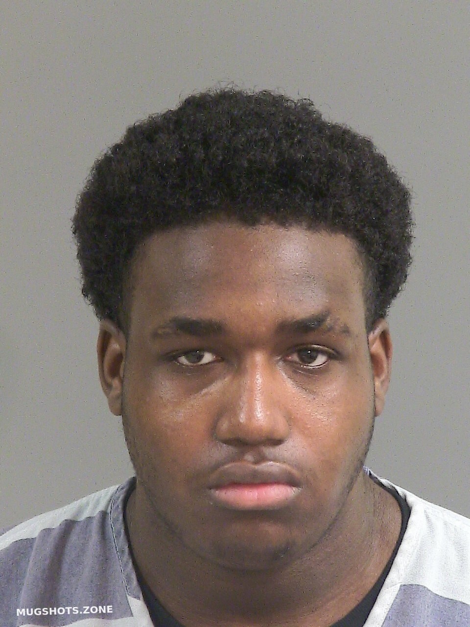 FLEMING JACOB HENRY 11/25/2024 - Charleston County Mugshots Zone