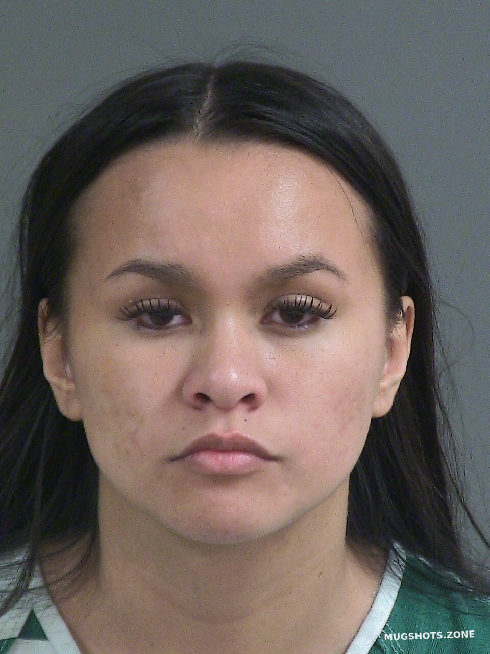 AGEE CHARLIE ANN 11/29/2024 - Charleston County Mugshots Zone