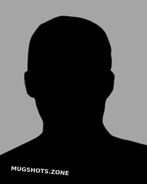 HEYWARD EVANS BENJAMIN 12/20/2024 - Charleston County Mugshots Zone