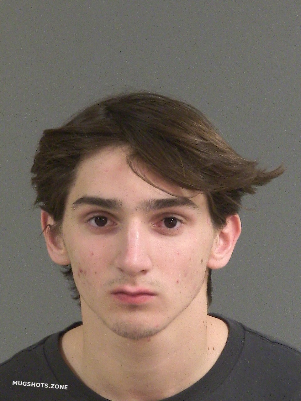 CONSTANTINE MILES ANTHONY 12/23/2024 - Charleston County Mugshots Zone