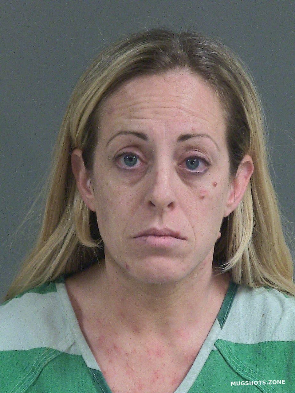 ISAKSEN LESLIE ANN 12/28/2024 - Charleston County Mugshots Zone